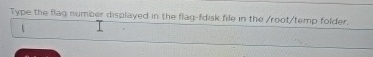 Solved Type the flag number displayed in the flag-fdisk file | Chegg.com