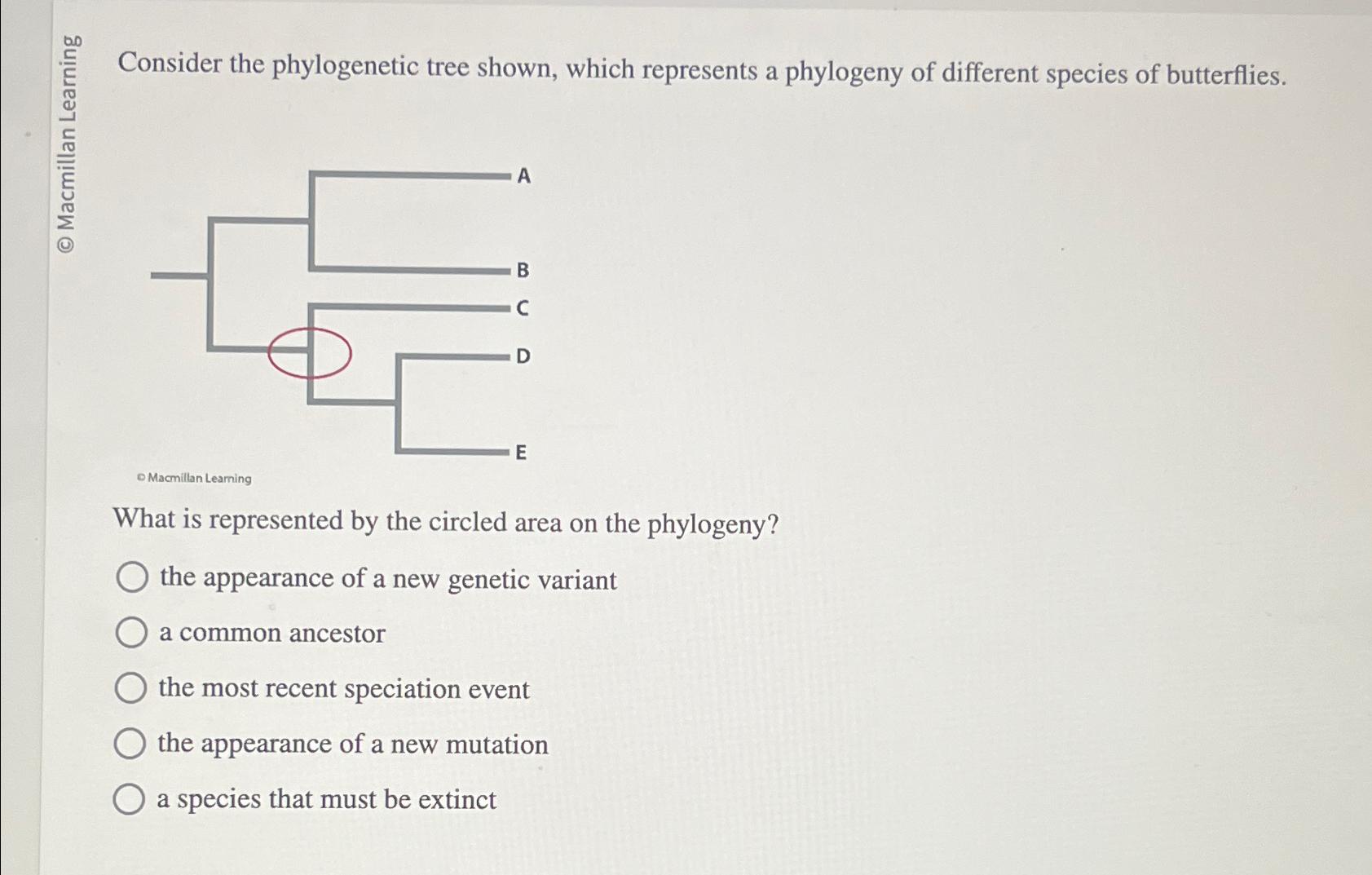 Solved Consider the phylogenetic tree shown, which | Chegg.com