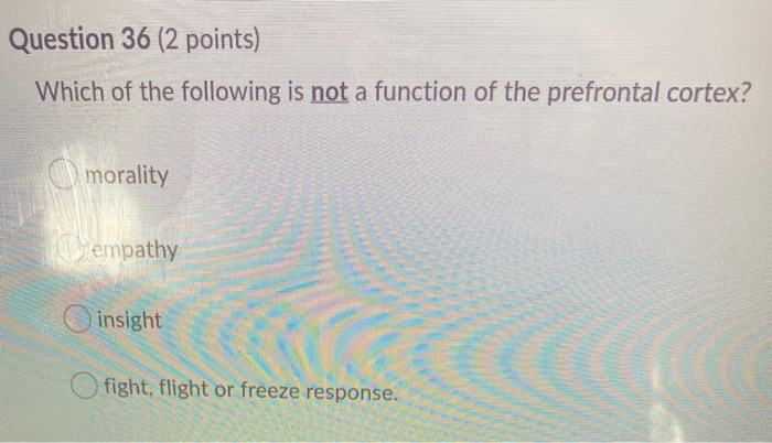 Solved Question 36 (2 points) Which of the following is not | Chegg.com