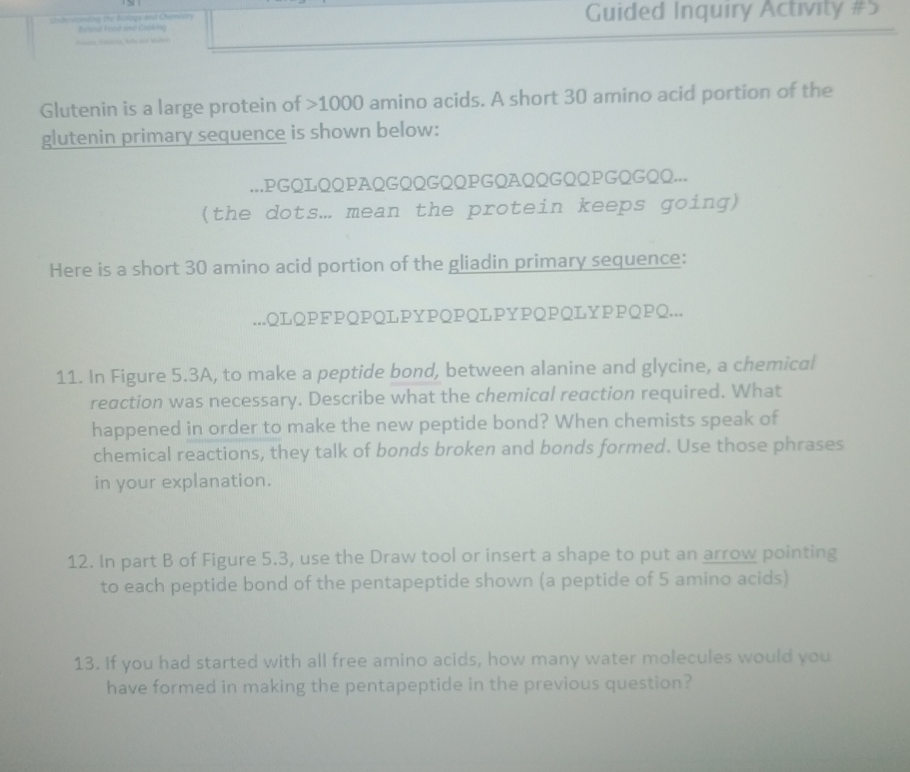 Solved Guided Inquiry Activity # S\\nGlutenin is a large | Chegg.com