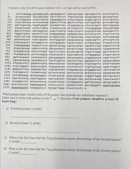 Solved 5) Below is the 16 S rRNA gene sequence of E. coli | Chegg.com