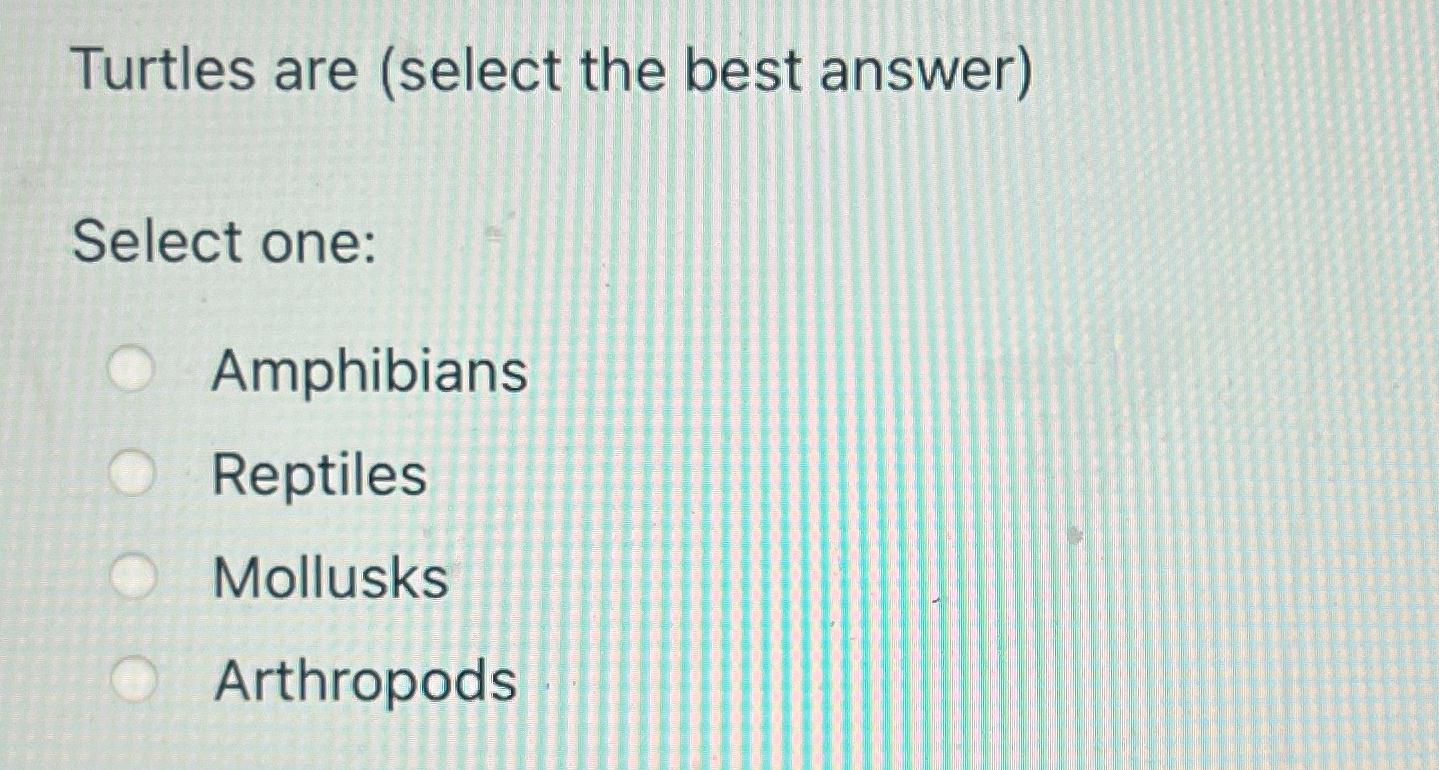 Solved Turtles are (select the best answer)Select | Chegg.com