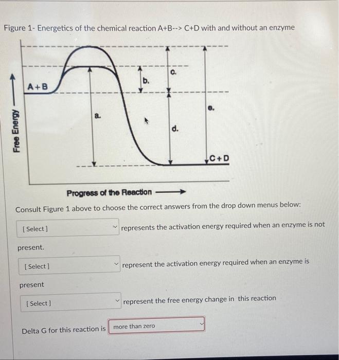 Solved Figure 1- Energetics of the chemical reaction | Chegg.com