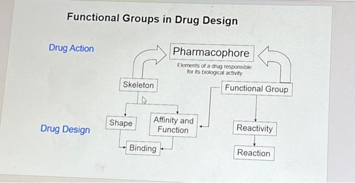 Solved Functional Groups in Drug Design | Chegg.com