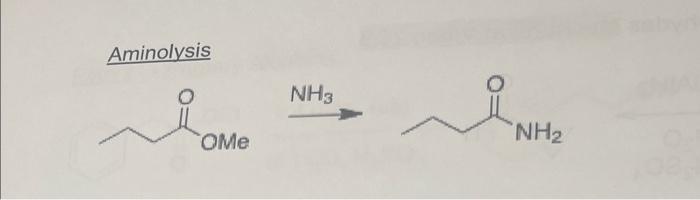Solved Aminolysis NH3 | Chegg.com