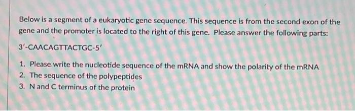Solved Below is a segment of a eukaryotic gene sequence. | Chegg.com