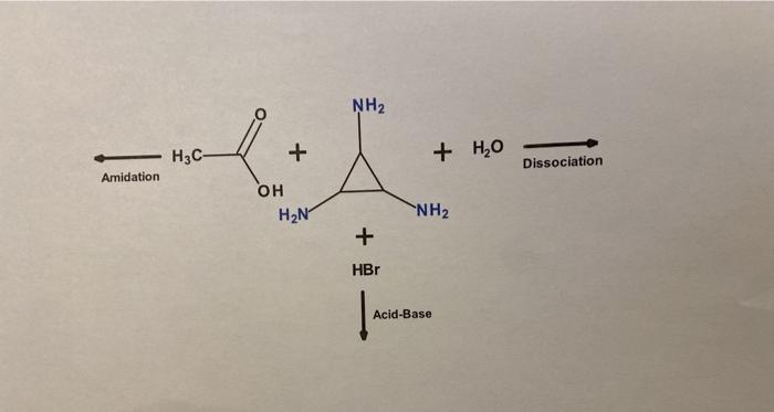 Solved NH2 + H20 - Dissociation NH2 + HCI- Acid-base | Chegg.com