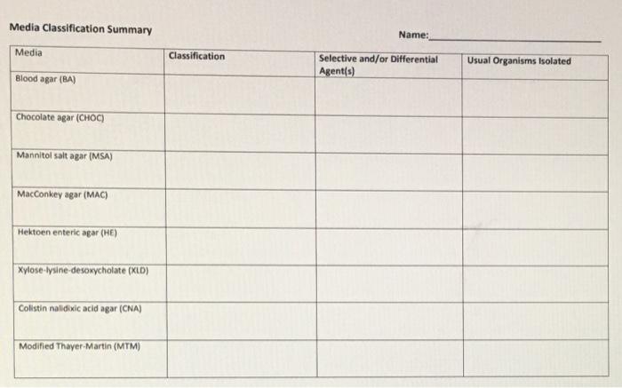 Solved Media Classification Summary | Chegg.com