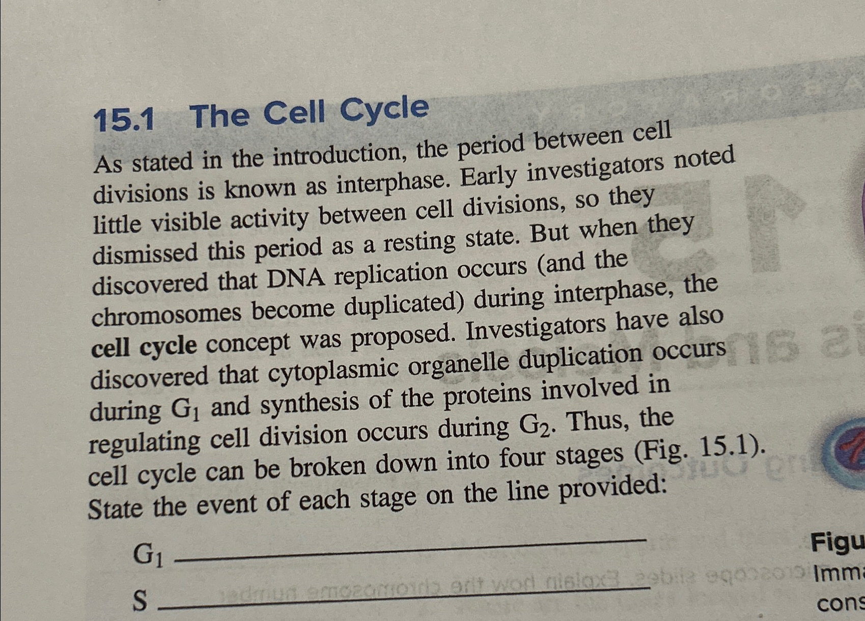 Solved 15.1 ﻿The Cell CycleAs stated in the introduction, | Chegg.com
