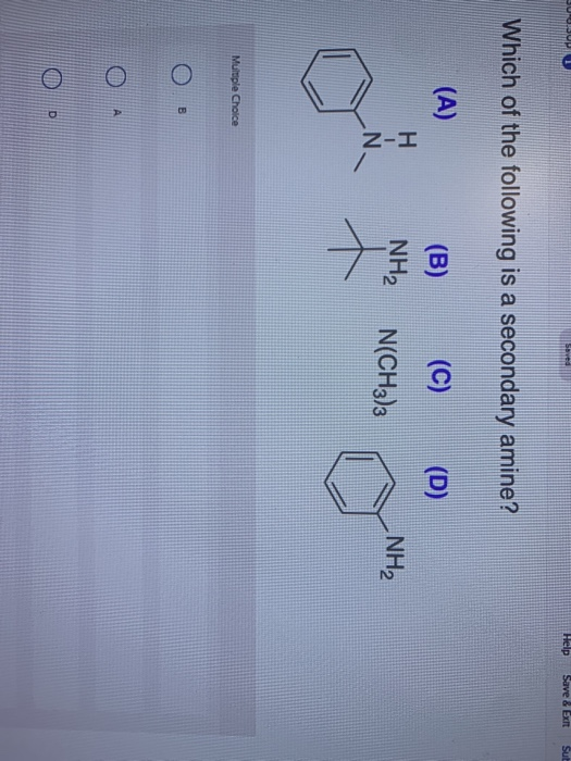 Solved What product could result from this reaction? NaOEt | Chegg.com