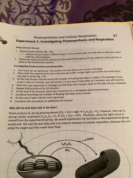 90 Photosynthesis and Cellular Respiration Experiment | Chegg.com