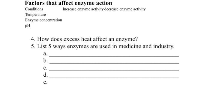 Solved Factors that affect enzyme action Conditions Increase | Chegg.com