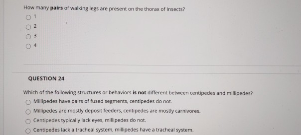 Solved How many pairs of walking legs are present on the | Chegg.com