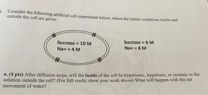 Solved Consider the following artificial cell experiment | Chegg.com