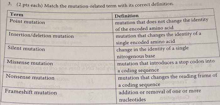 Solved 3. (2 pts each) Match the mutation-related term with | Chegg.com