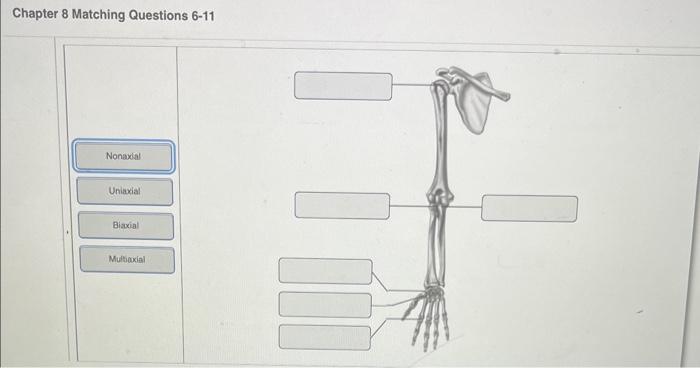 Chapter 8 Matching Questions 6-11 | Chegg.com Chapter 8 Matching Questions 6-11 | Chegg.com