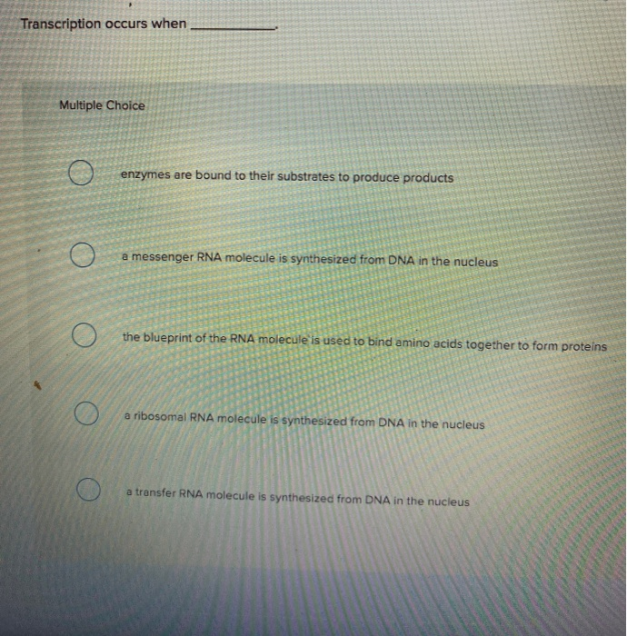 Solved Classify the following phases into interphase or the | Chegg.com