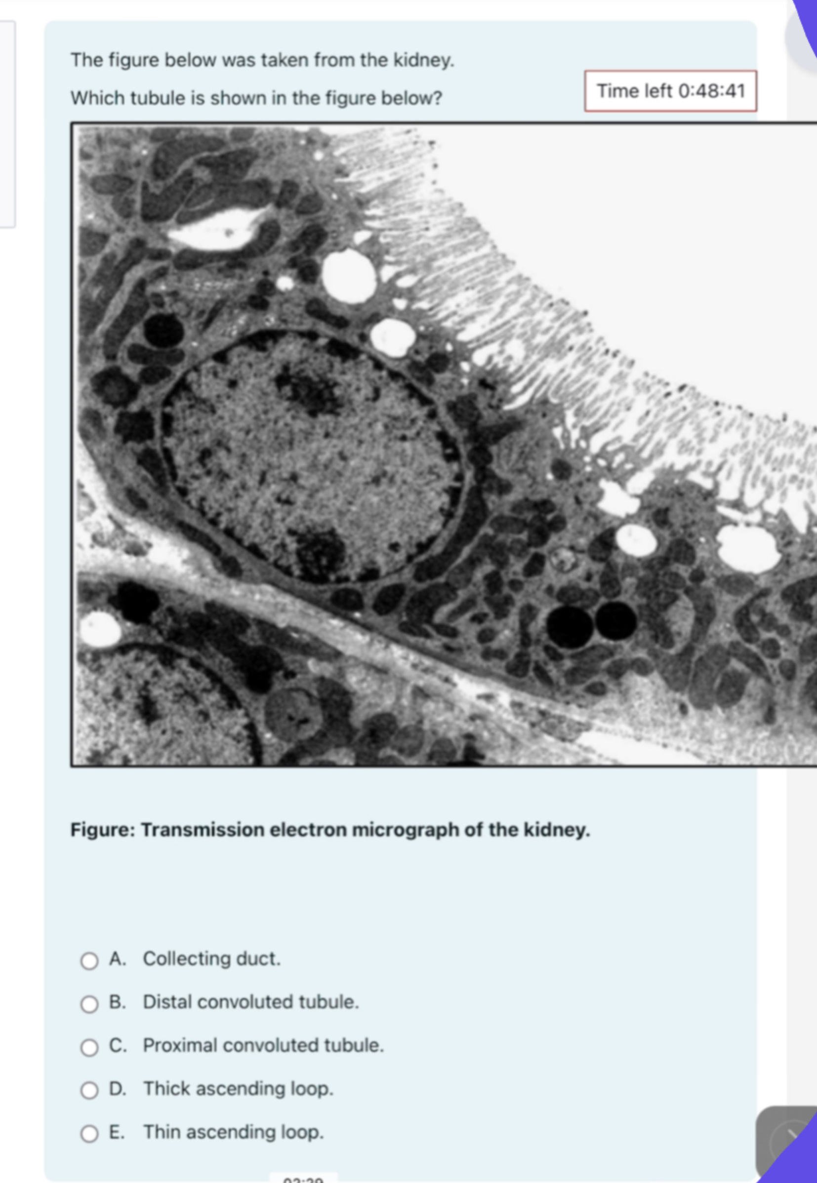 Solved Figure: Transmission electron micrograph of the | Chegg.com