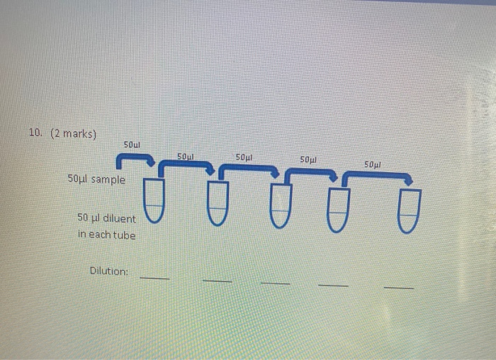 Solved 10. (2 marks) sul Sul 50ul sul Sul 50ul sample ។ 50 | Chegg.com