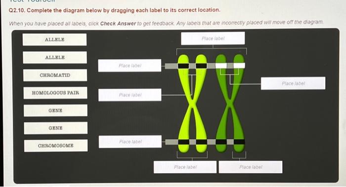 Solved Q2.10. Complete the diagram below by dragging each | Chegg.com