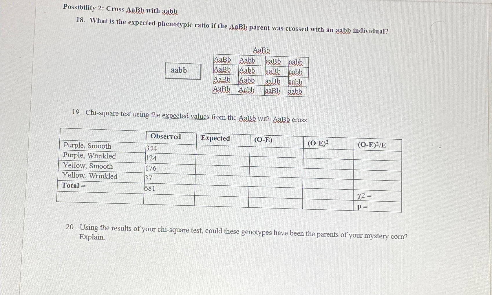Solved Possibility 2: Cross AaBb with aabb18. ﻿What is the | Chegg.com