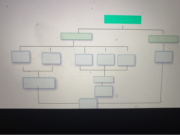 Solved create a microbial concept map with the following | Chegg.com