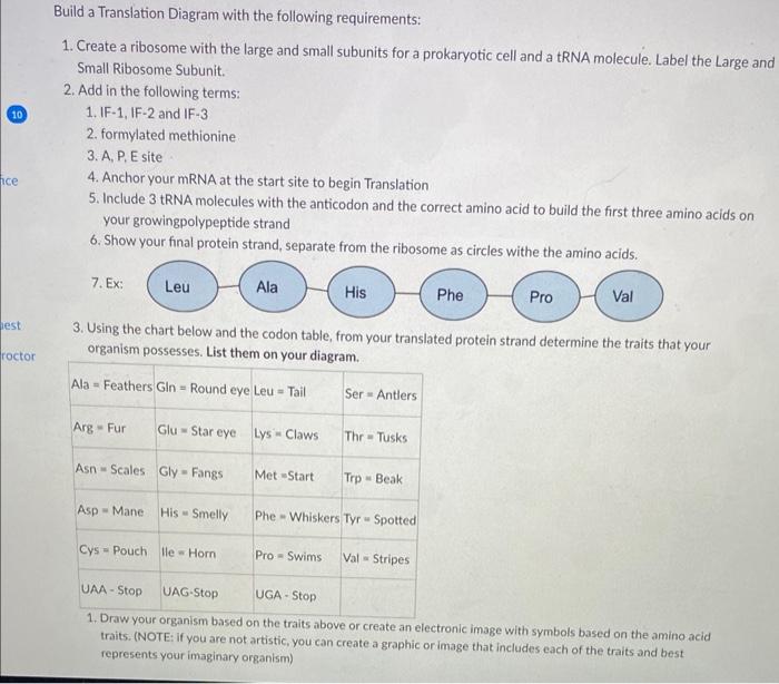 Solved how would i draw the diagram using this template | Chegg.com