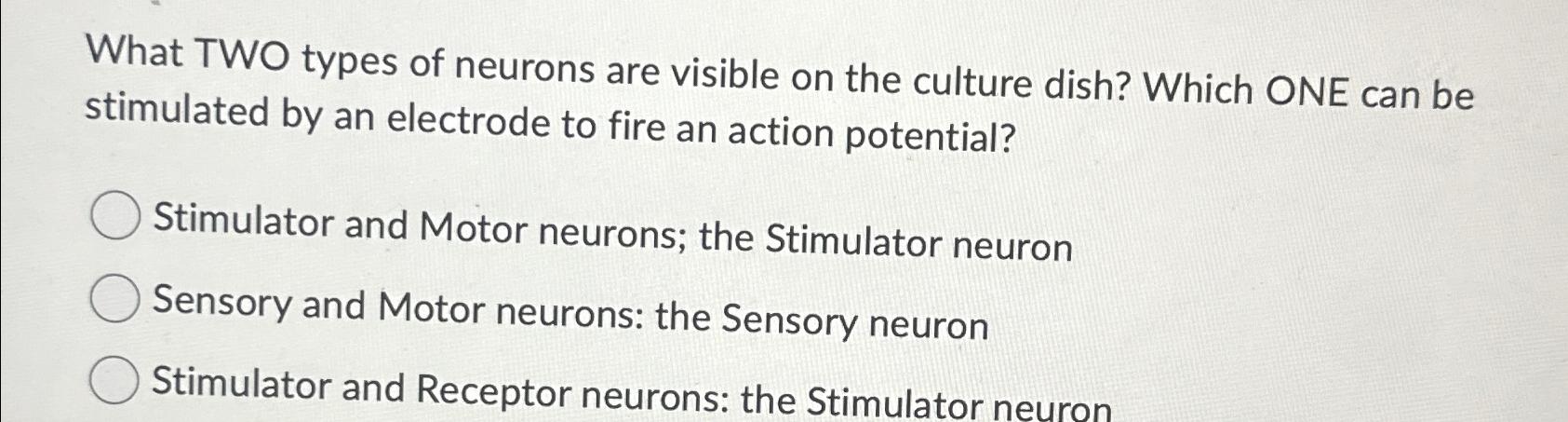 Solved What TWO types of neurons are visible on the culture | Chegg.com