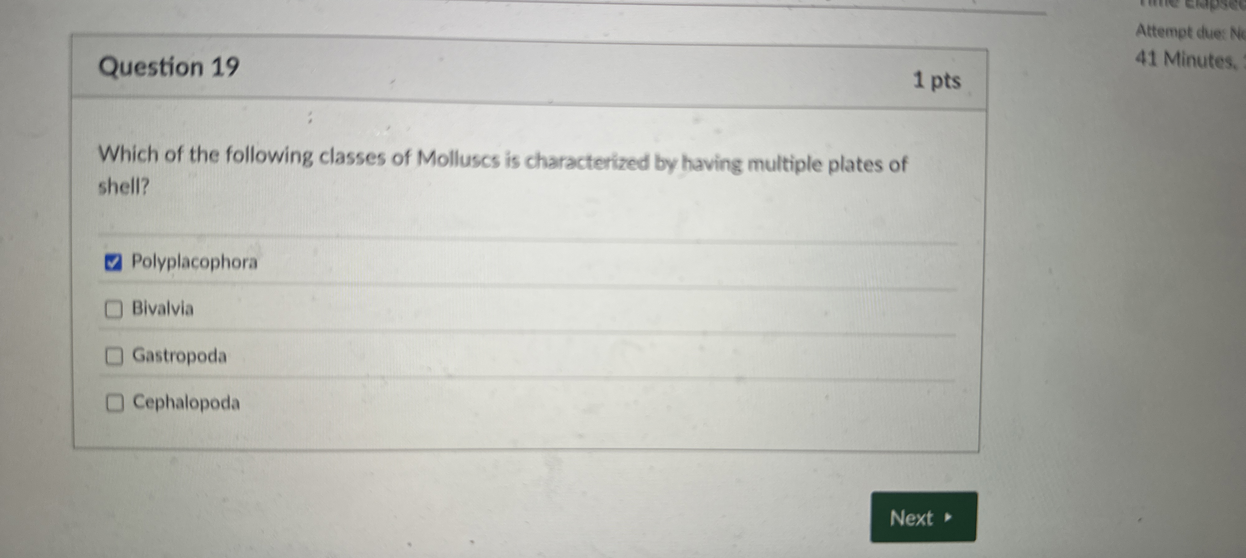 High Quality SOLUTION Question 191 ﻿ptsWhich of the following classes of | Chegg.com
