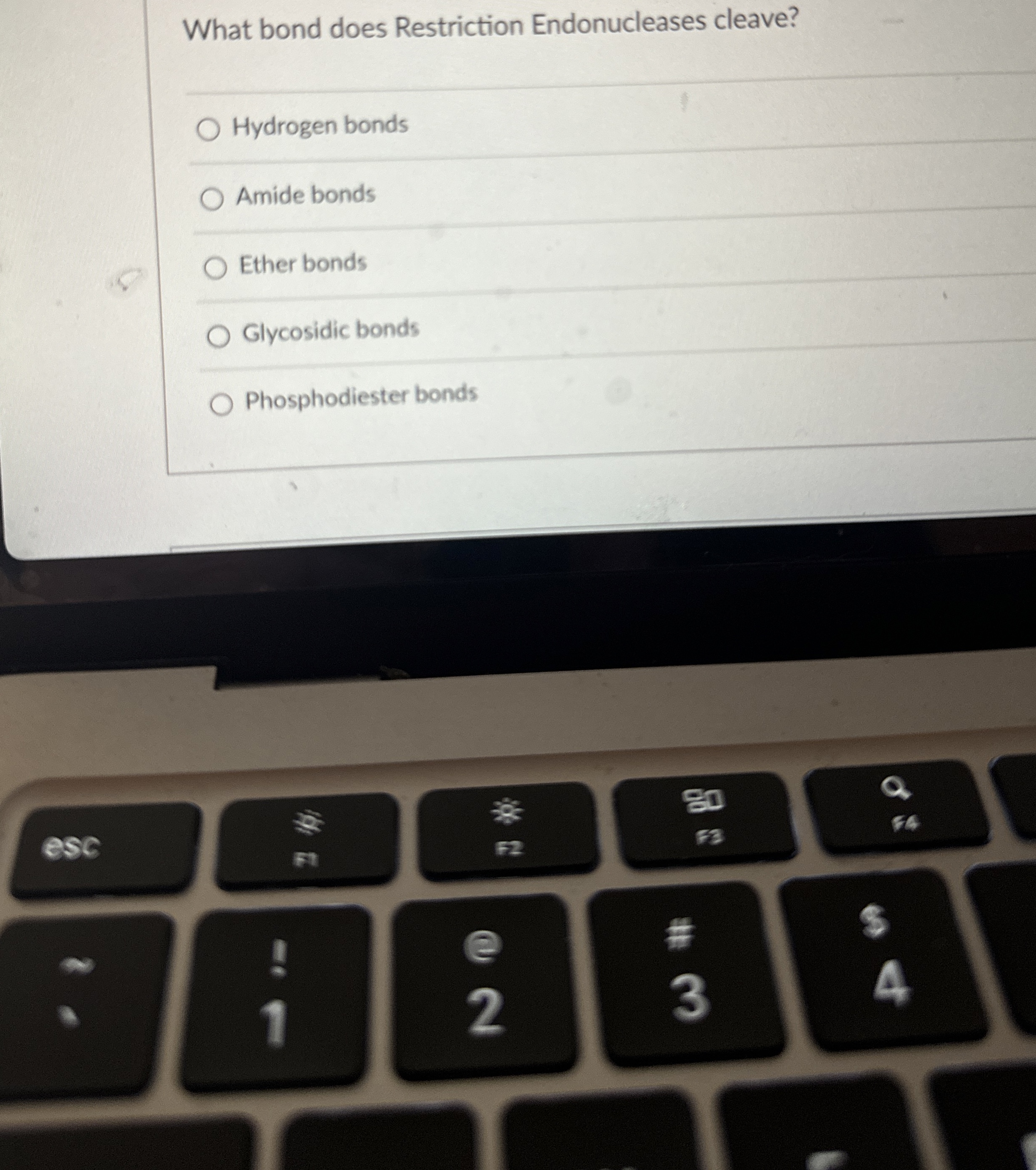 Solved What bond does Restriction Endonucleases | Chegg.com