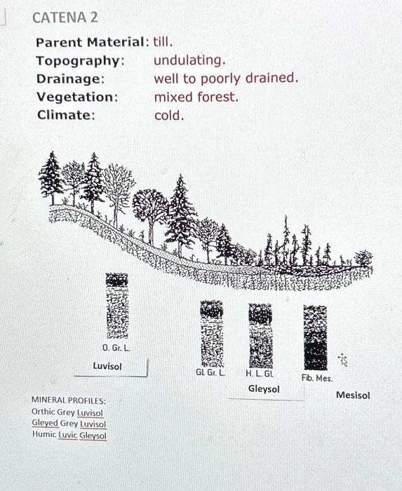 Solved 1. List the horizon sequence of each mineral profile | Chegg.com