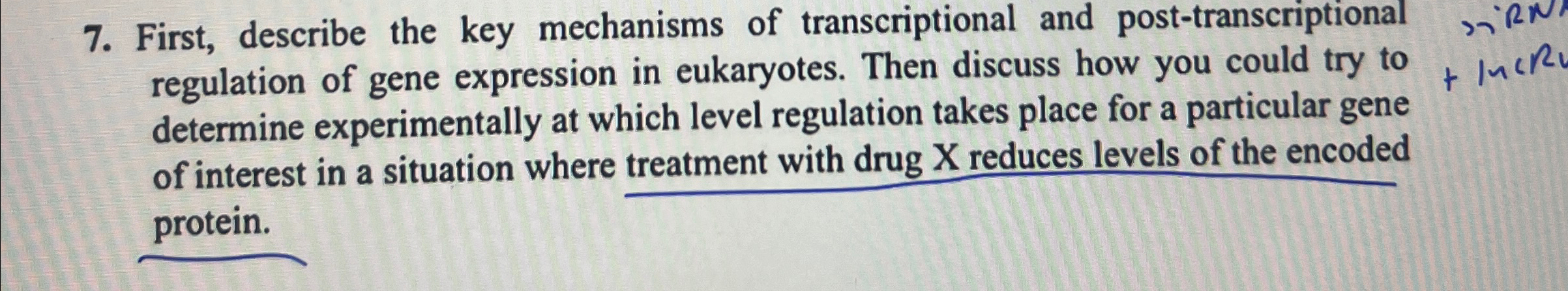 Solved First, describe the key mechanisms of transcriptional | Chegg.com