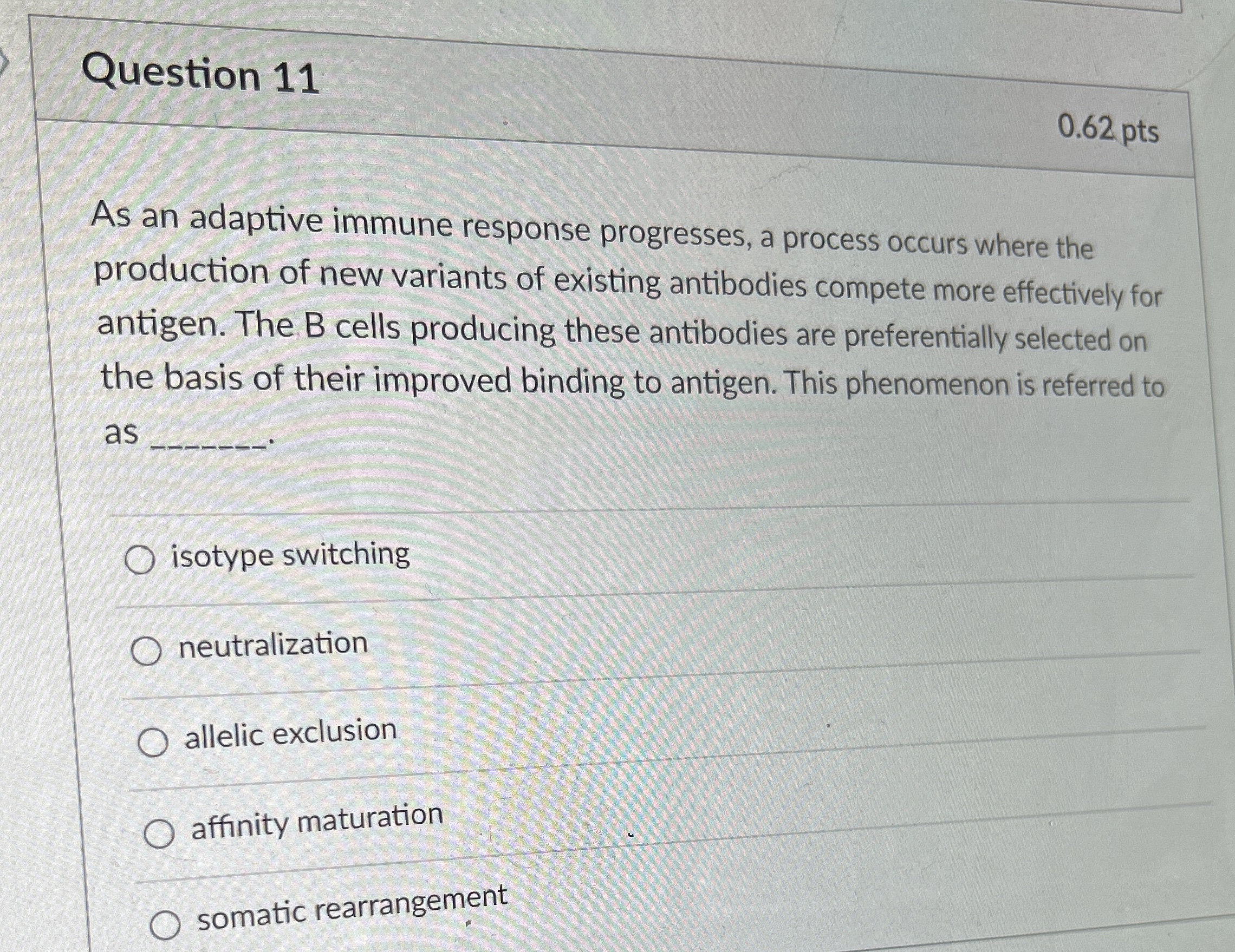 Solved Question 110.62 ﻿ptsAs an adaptive immune response | Chegg.com