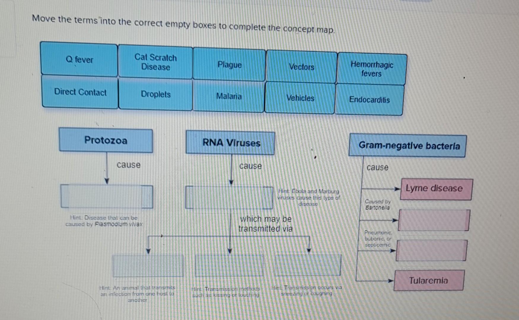 Solved Move the terms into the correct empty boxes to | Chegg.com
