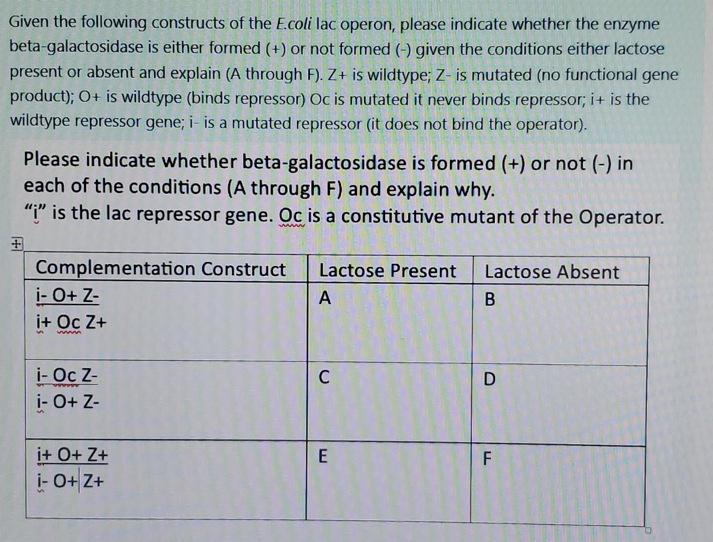 Solved Given the following constructs of the E.coli lac | Chegg.com