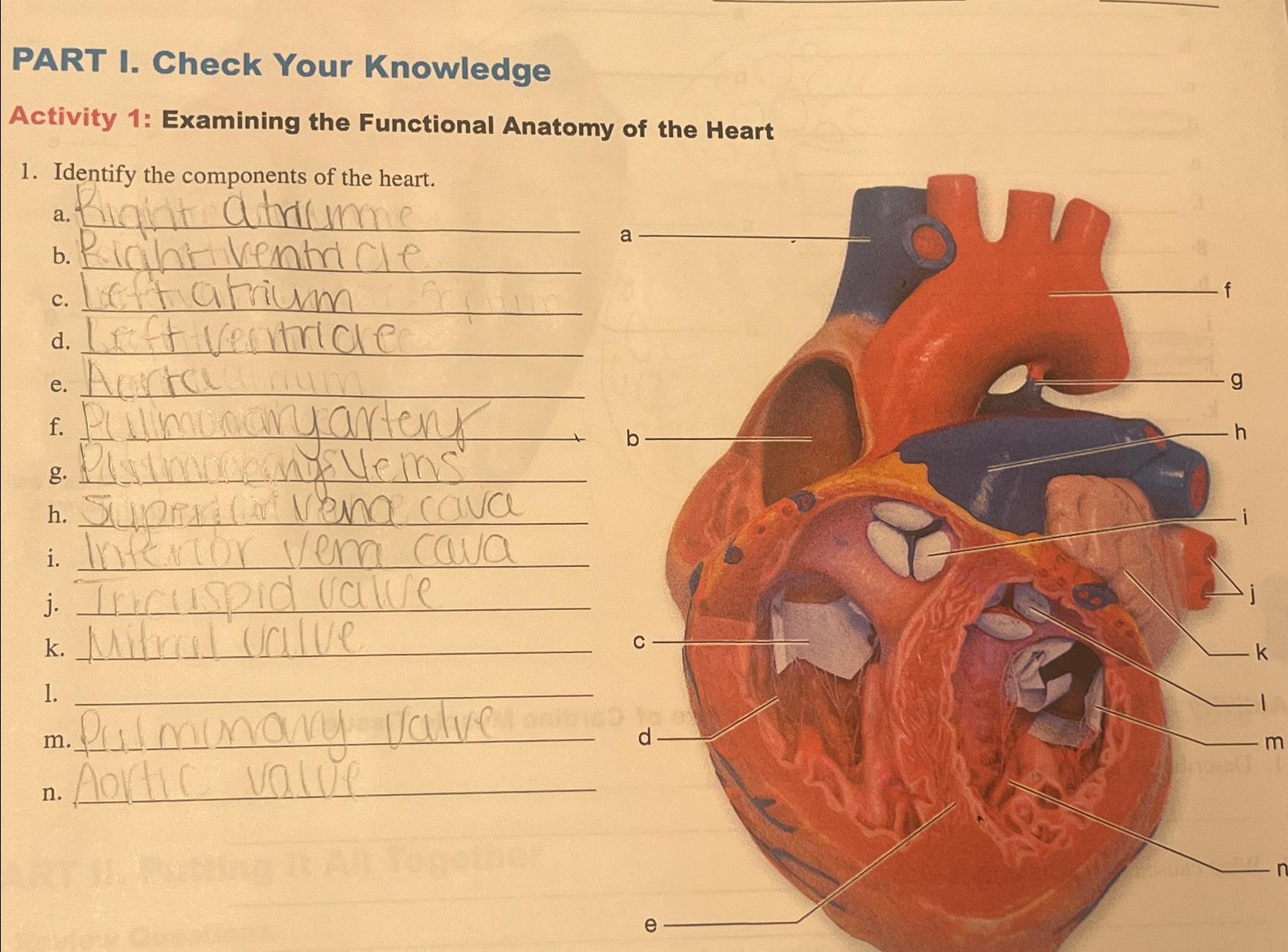 Solved PART I. Check Your KnowledgeActivity 1: Examining the | Chegg.com
