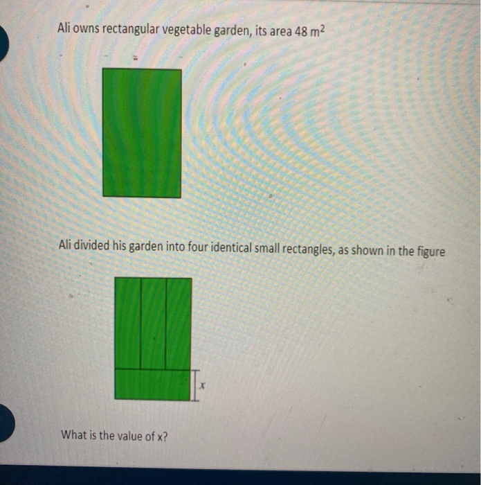 Solved Ali owns rectangular vegetable garden, its area 48 m2 | Chegg.com