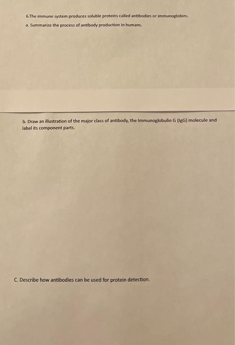 Solved 6.The immune system produces soluble proteins called | Chegg.com