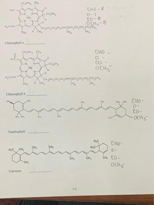 Solved count the number of polar groups present in each | Chegg.com