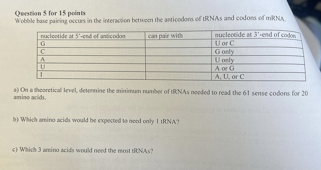 Solved Question 5 ﻿for 15 ﻿pointsWobble base pairing occurs | Chegg.com