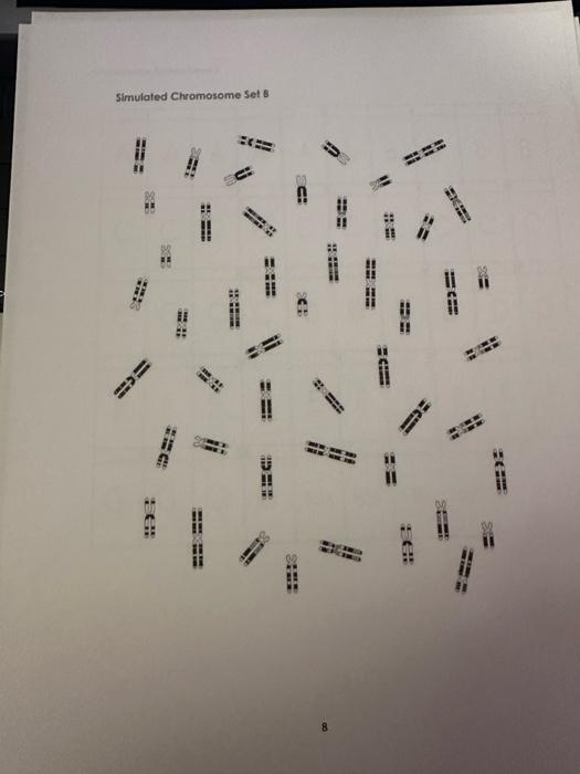 Solved Pair the chromosomes, matching those that have the | Chegg.com
