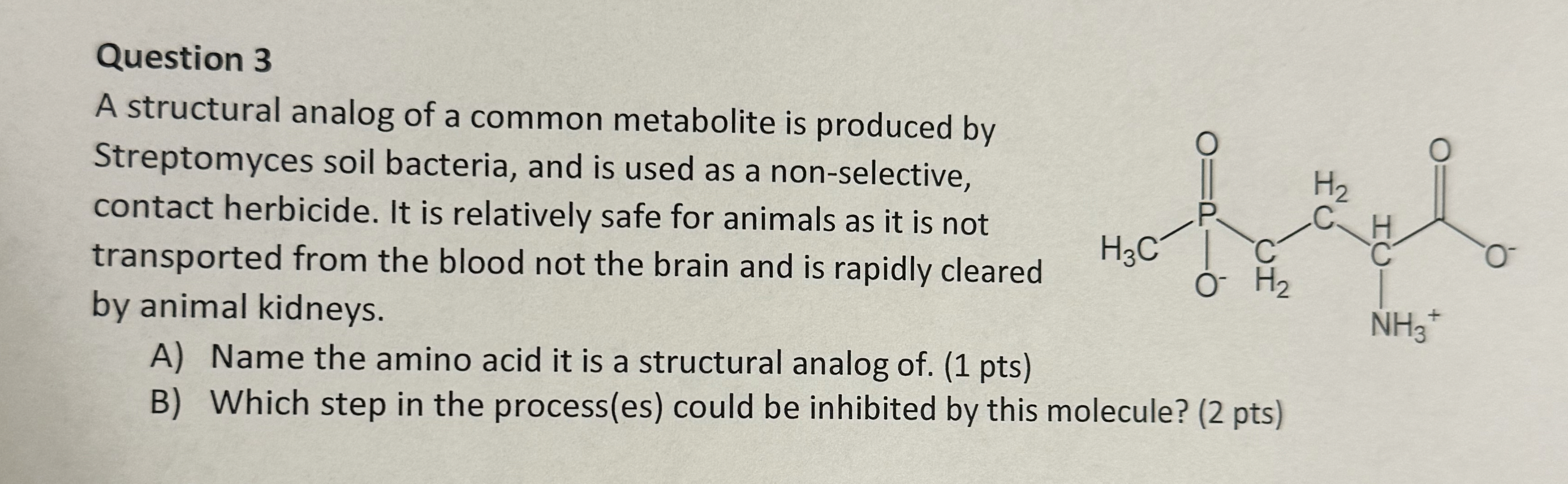 Solved Question 3A structural analog of a common metabolite | Chegg.com