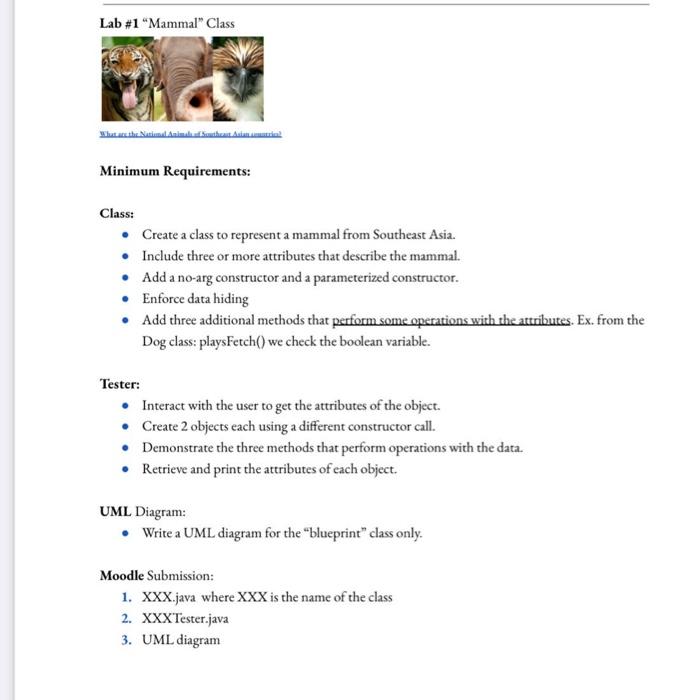 Solved Lab \#1 "Mammal" Class Minimum Requirements: Class: - | Chegg.com