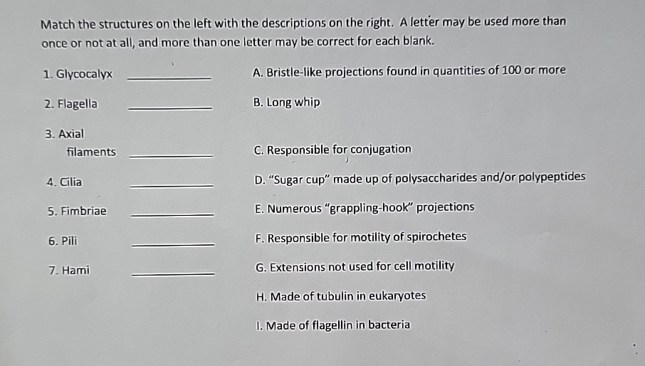 Solved Match the structures on the left with the | Chegg.com