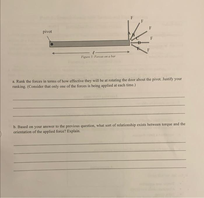 Solved Torque and Rotational Equilibrium (Human Arm | Chegg.com