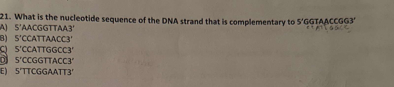 Solved What is the nucleotide sequence of the DNA strand | Chegg.com
