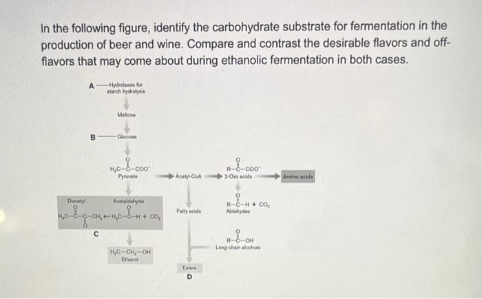 Solved In the following figure, identify the carbohydrate | Chegg.com