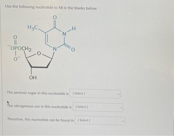 Solved Use the following nucleotide to fill in the blanks | Chegg.com