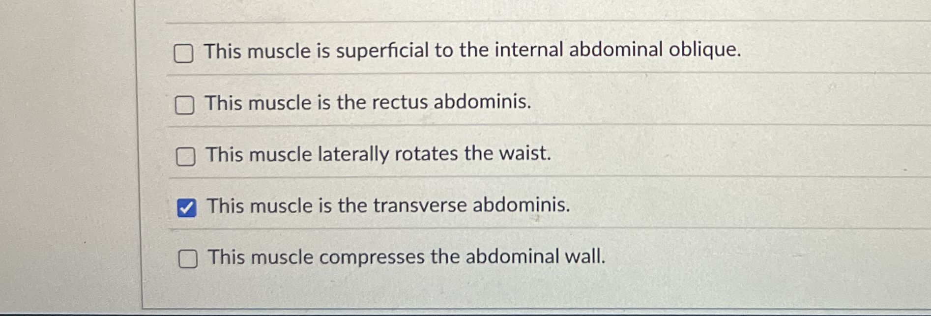 Solved This muscle is superficial to the internal abdominal | Chegg.com