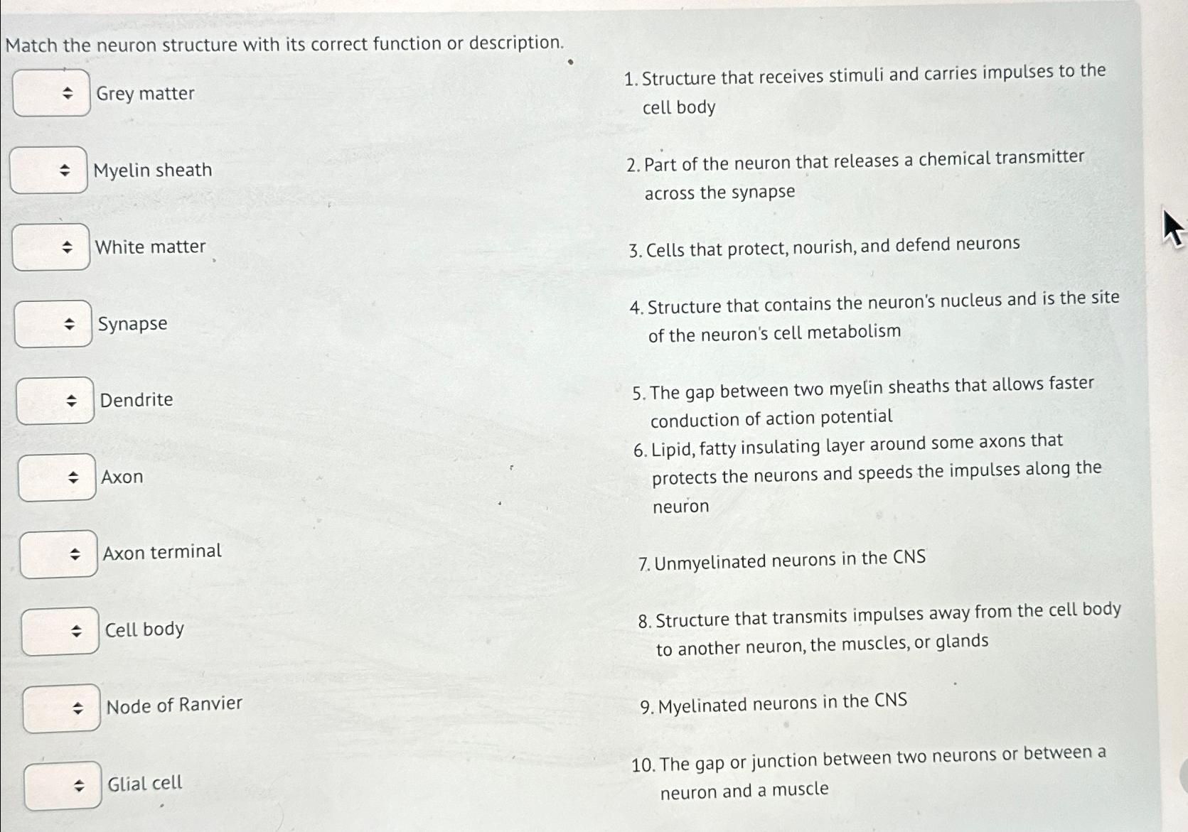 Solved Match the neuron structure with its correct function | Chegg.com
